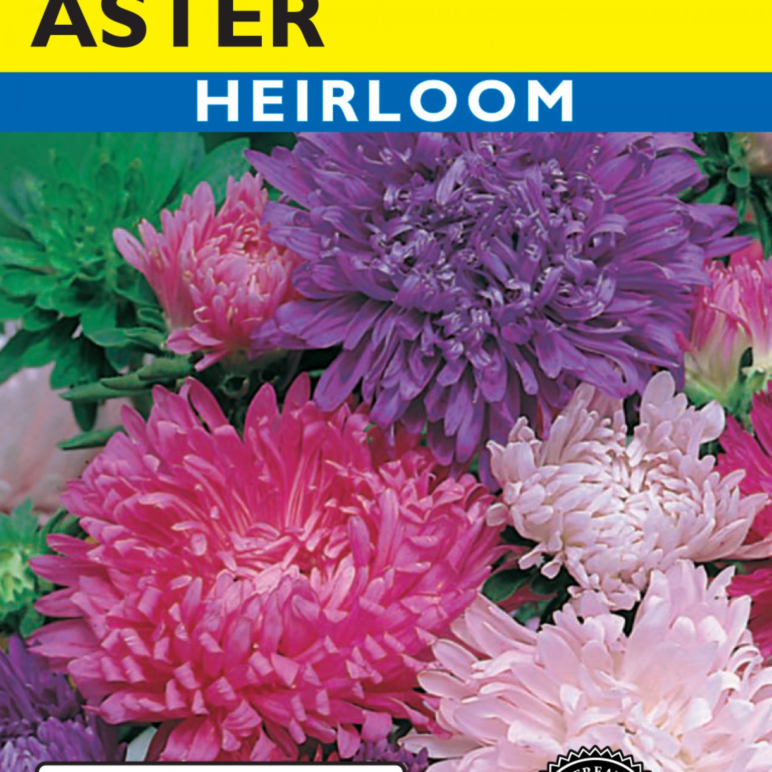 Aster Powderpuff Mixed Colors - Item #13 - Lake Valley Seed