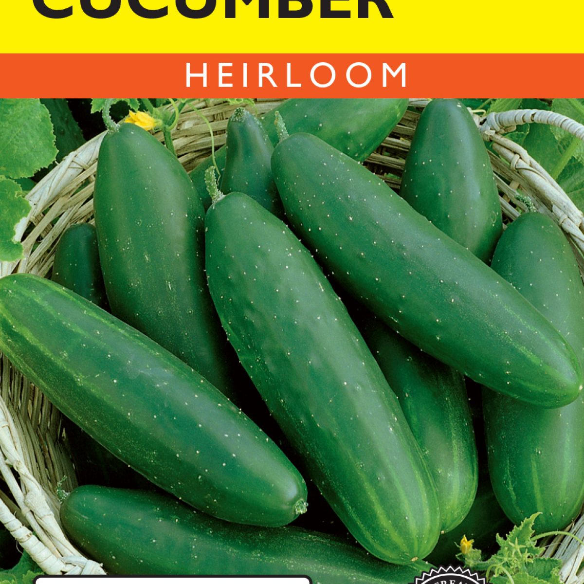 Cucumber Straight Eight Elite Hybrid - Item #544 - Lake Valley Seed