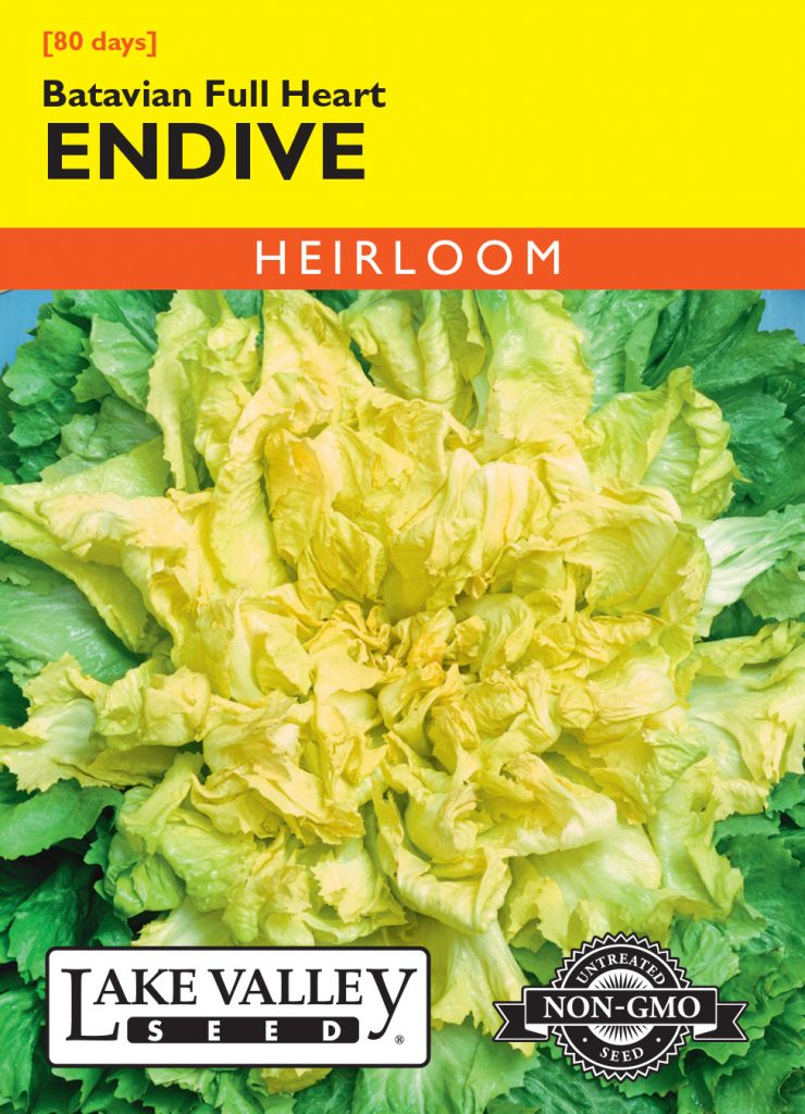 Endive Batavian Full Heart - Item #139 - Lake Valley Seed