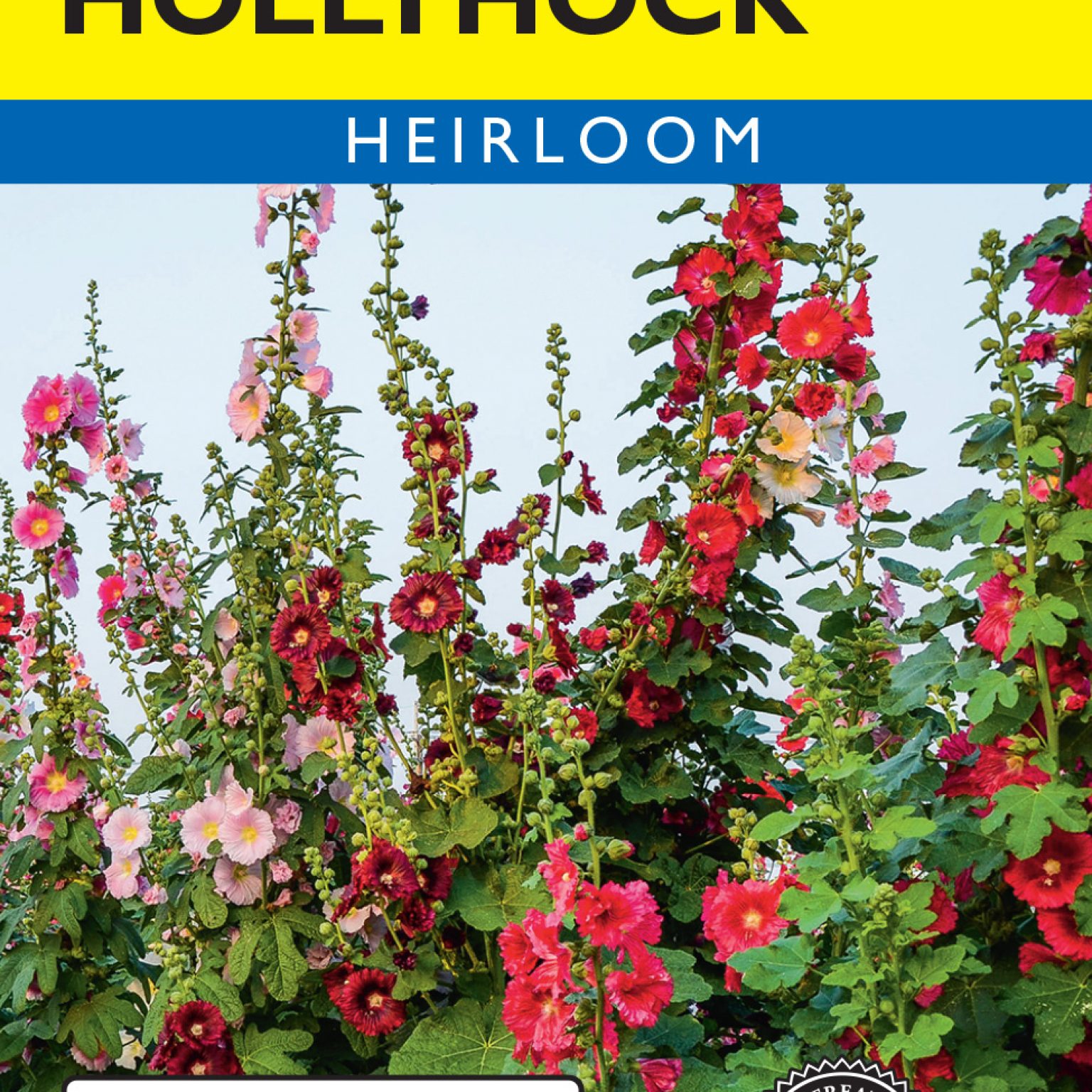 Hollyhock Summer Carnival Mixed Colors - Item #155 - Lake Valley Seed