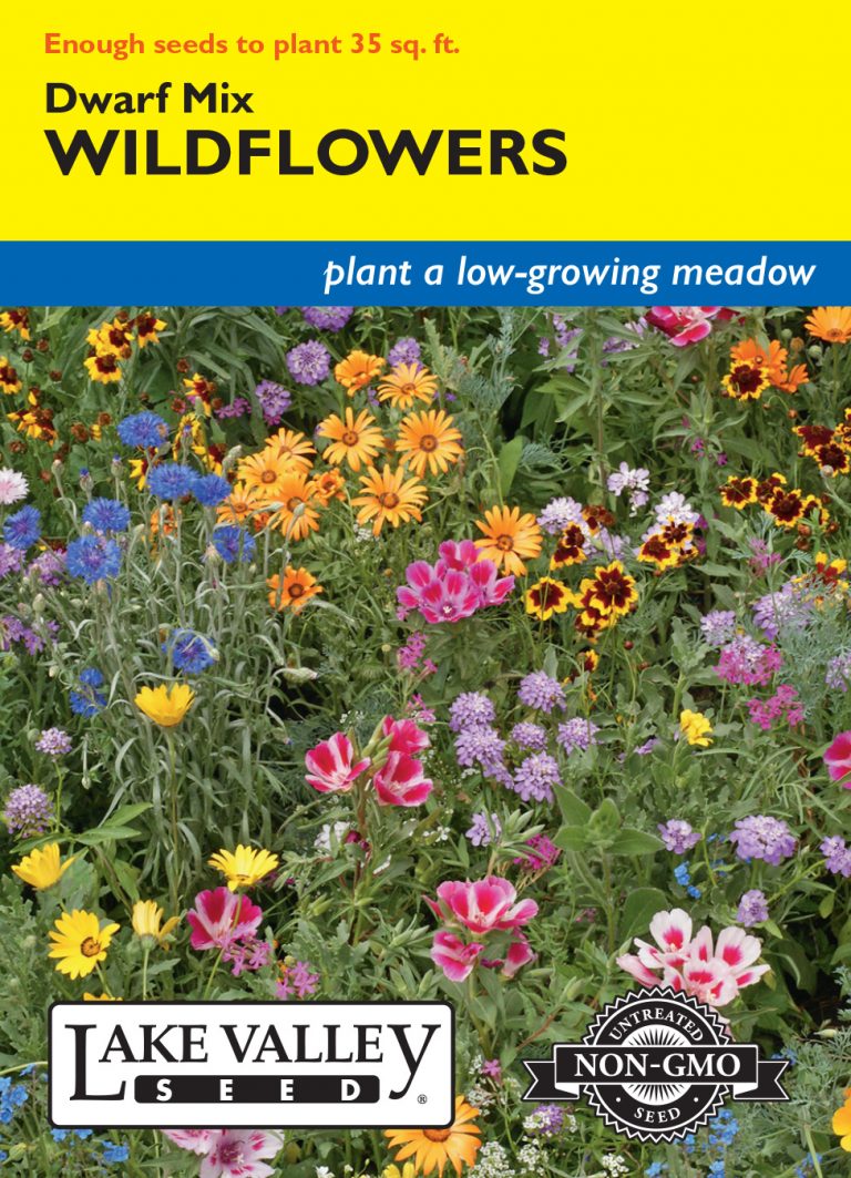 Wildflowers Dwarf Mix - Item #1682 - Lake Valley Seed
