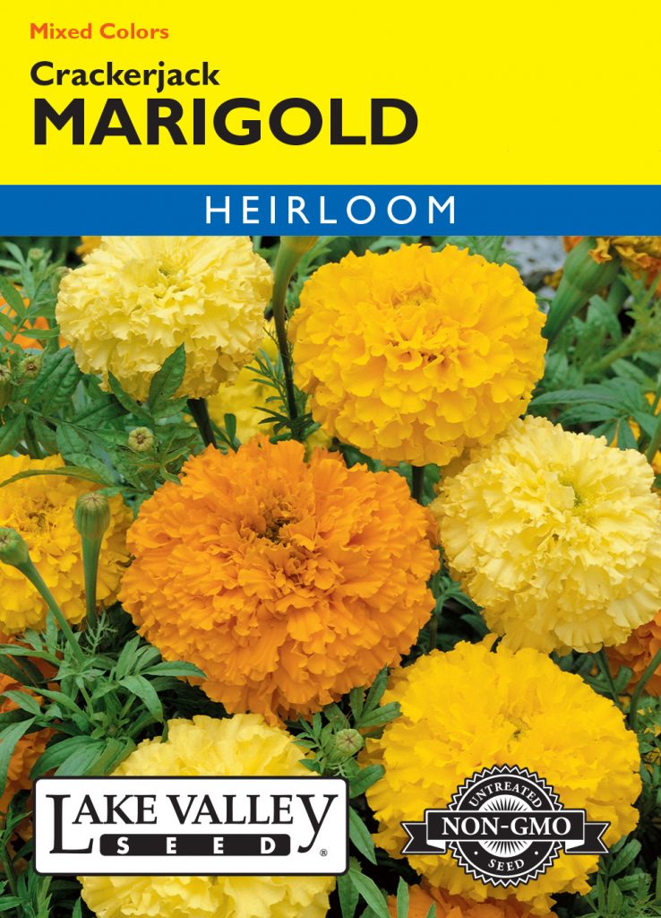 Marigold Crackerjack Mixed Colors - Item #184 - Lake Valley Seed