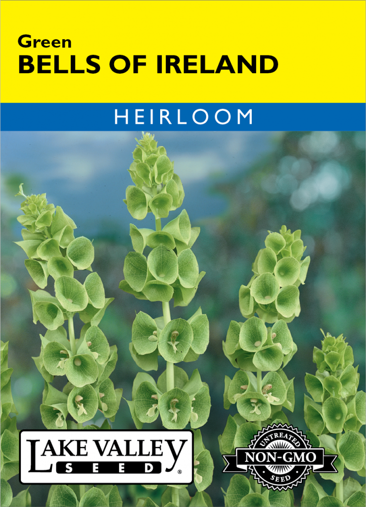Bells of Ireland - Item #1844 - Lake Valley Seed