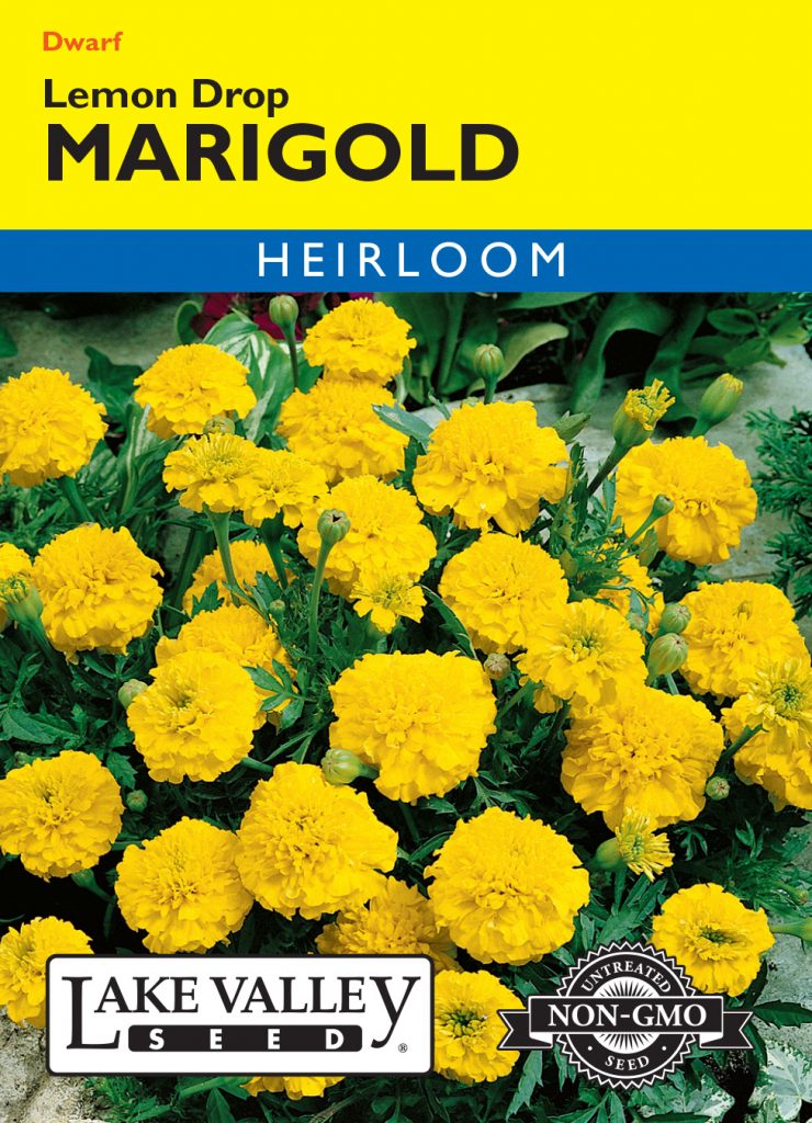 Marigold Lemon Drop - Item #185 - Lake Valley Seed