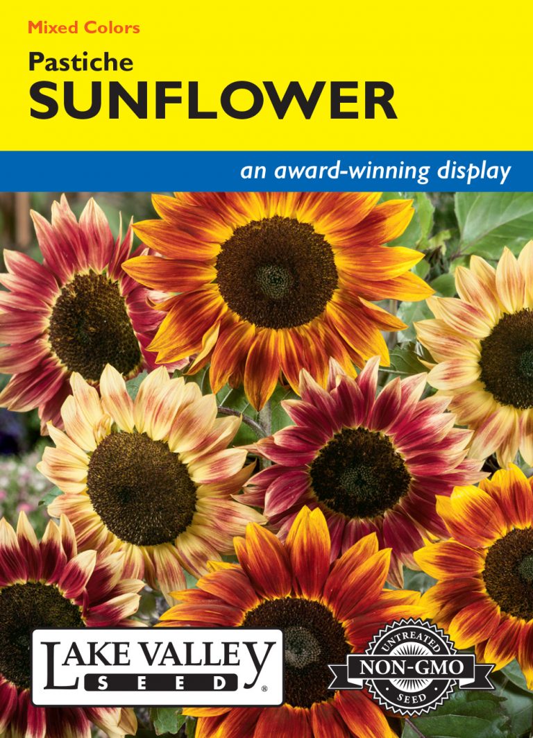 Sunflower Pastiche - Item #1925 - Lake Valley Seed