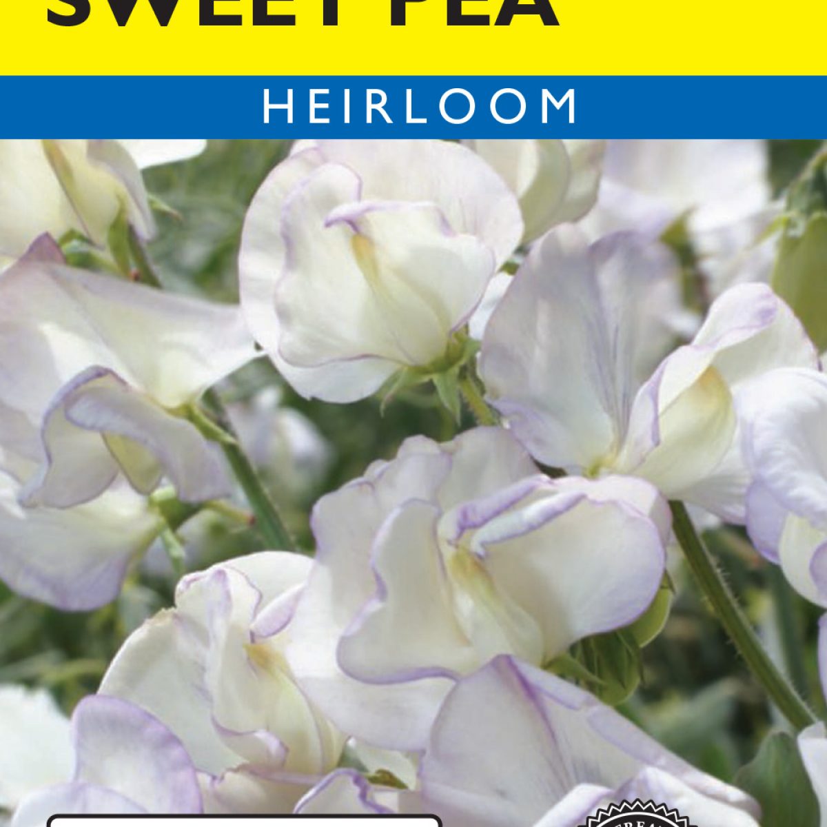 Sweet Pea Old Spice Bicolor Mixed Colors - Item #1242 - Lake Valley Seed