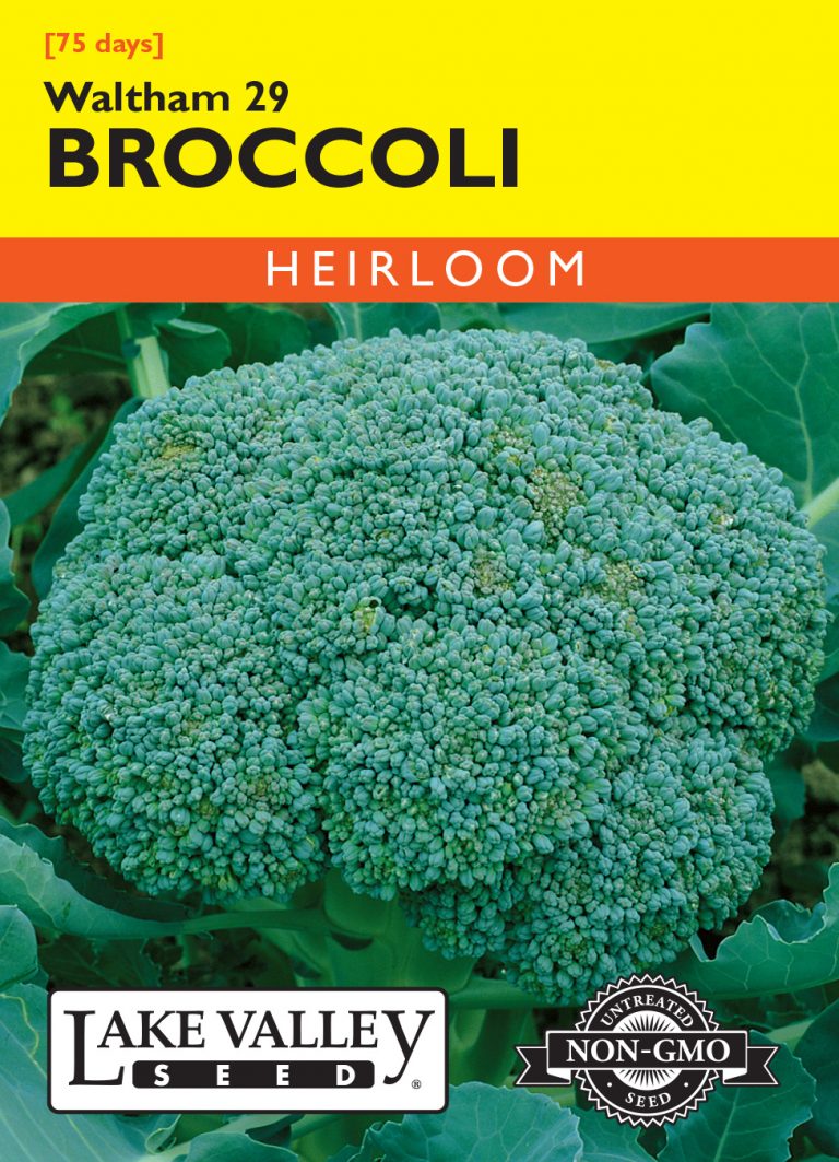 Broccoli Waltham 29 - Item #1986 - Lake Valley Seed