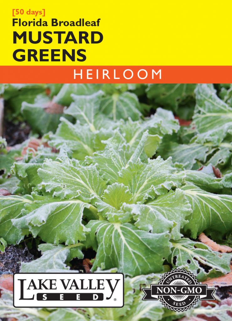 Mustard Greens Florida Broadleaf - Item #200 - Lake Valley Seed