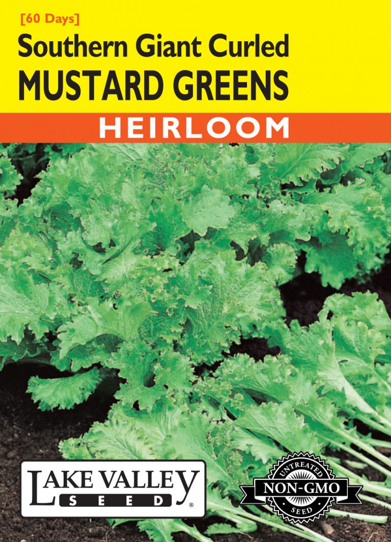 Mustard Greens Southern Giant Curled - Item #201 - Lake Valley Seed