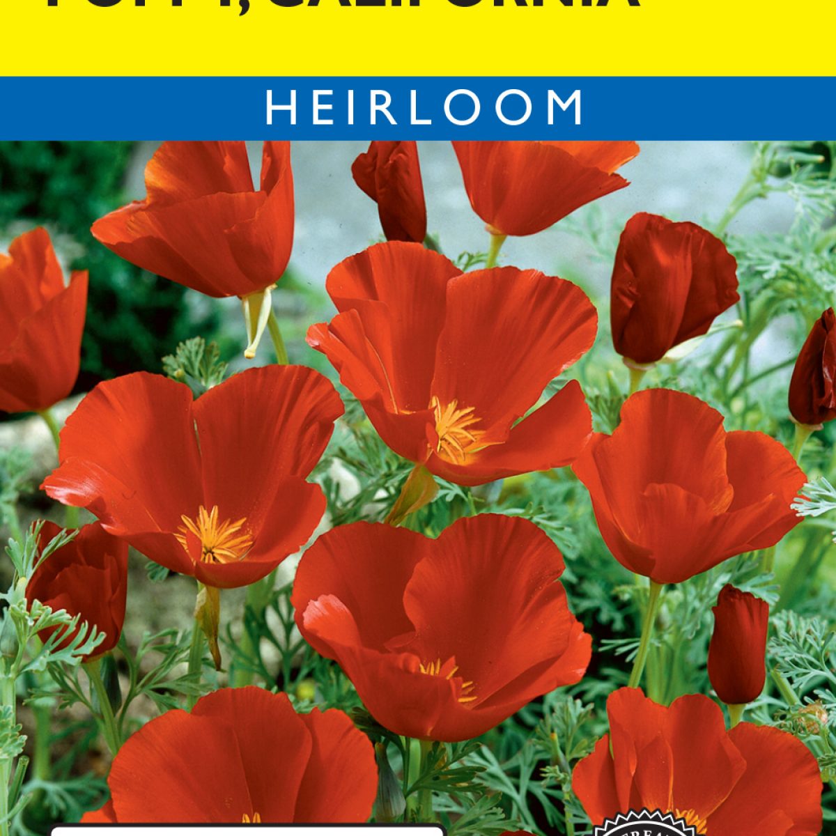 Poppy California Mission Bells Mixed Colors - Item #242 - Lake Valley Seed
