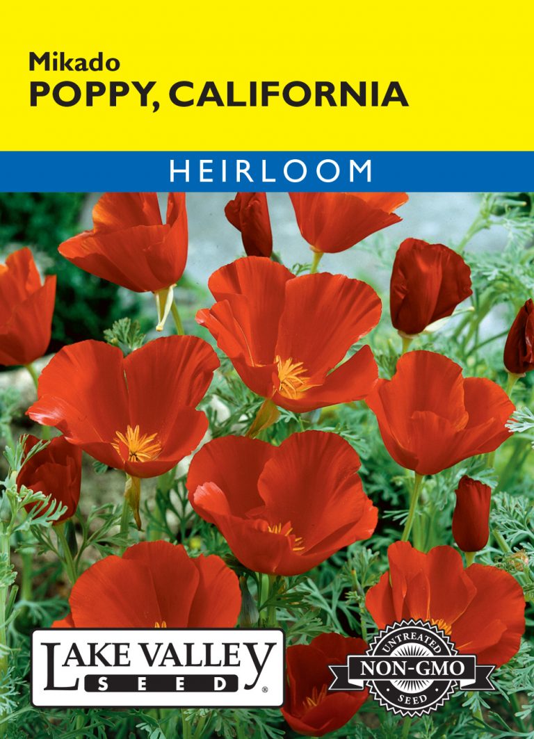 Poppy California Mikado - Item #243 - Lake Valley Seed