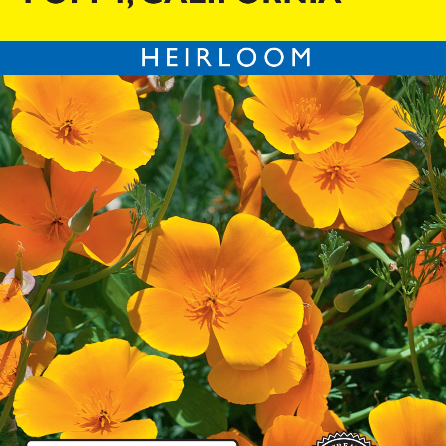 Poppy California Mission Bells Mixed Colors - Item #242 - Lake Valley Seed