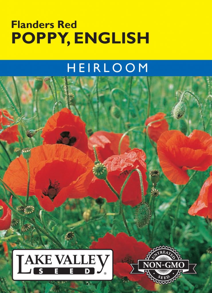 Poppy English Flanders Red - Item #247 - Lake Valley Seed