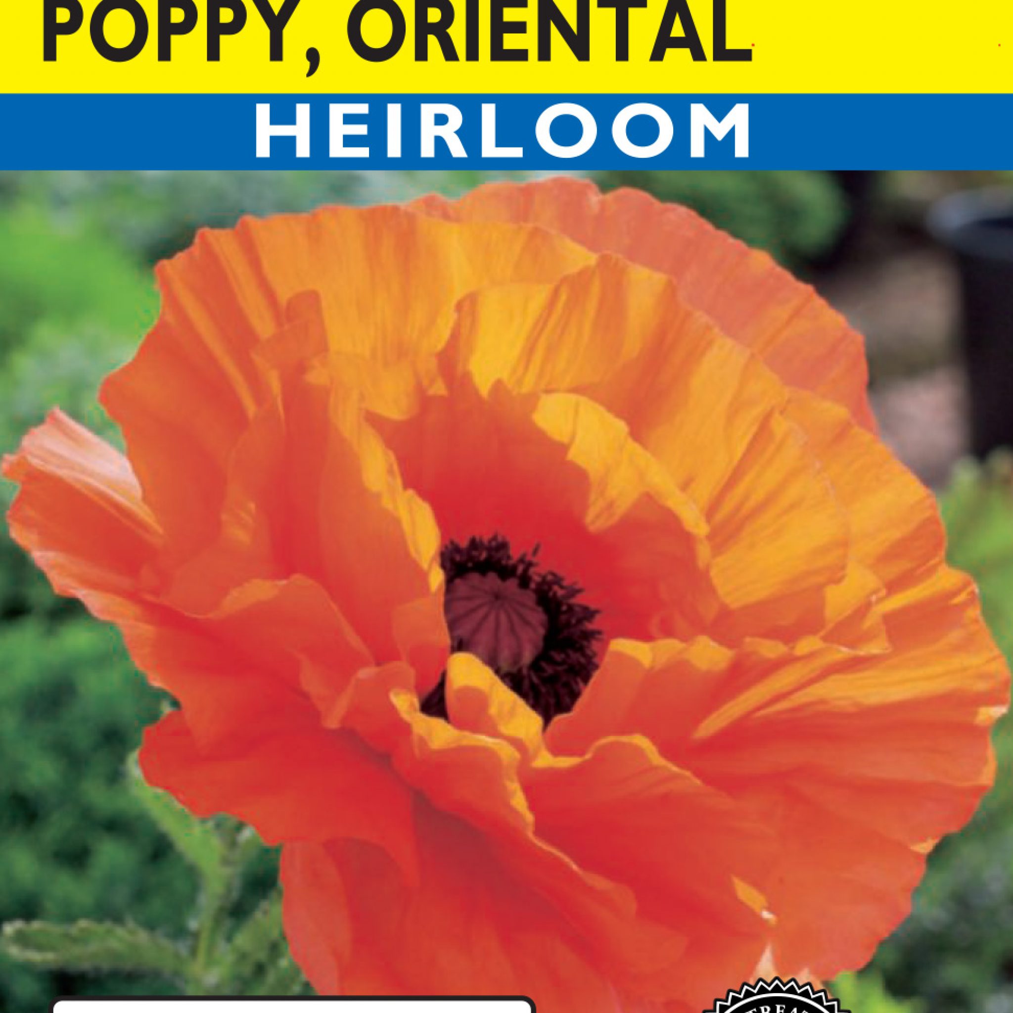 Poppy Oriental Pizzicato Mixed Colors - Item #489 - Lake Valley Seed