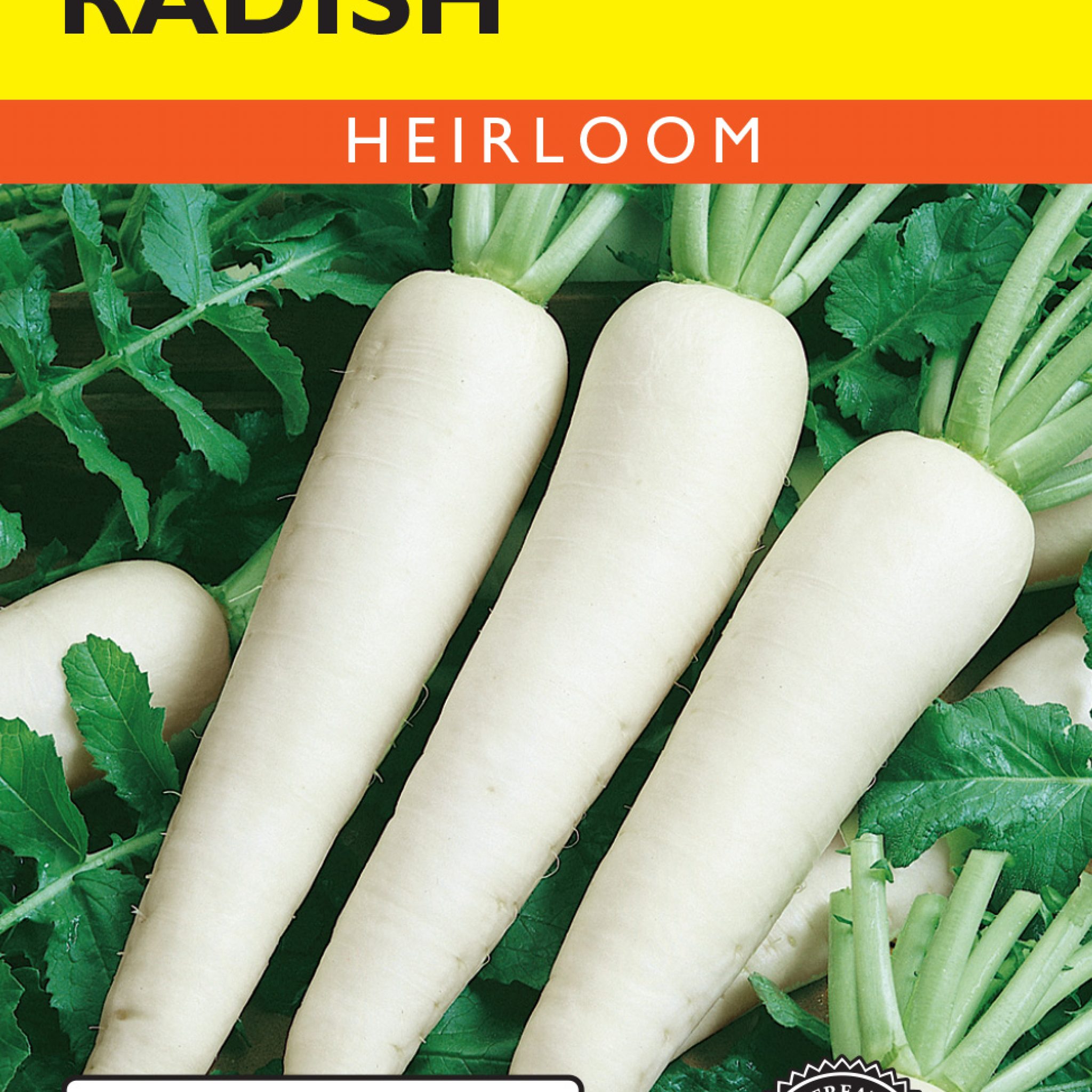Radish Daikon Relish Cross Hybrid - Item #4082 - Lake Valley Seed
