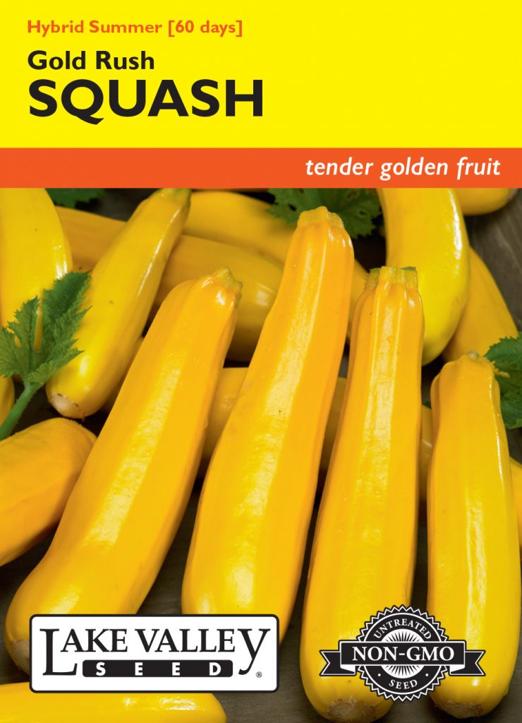 Squash (Summer) Gold Rush Hybrid - Item #283 - Lake Valley Seed