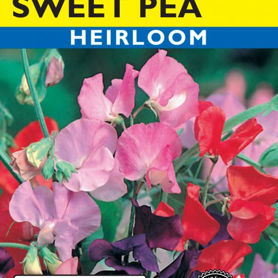 Sweet Pea Mammoth Mixed Colors - Item #4432 - Lake Valley Seed