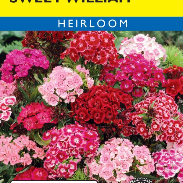 Sweet William Wee Willie Mixed Colors - Item #690 - Lake Valley Seed