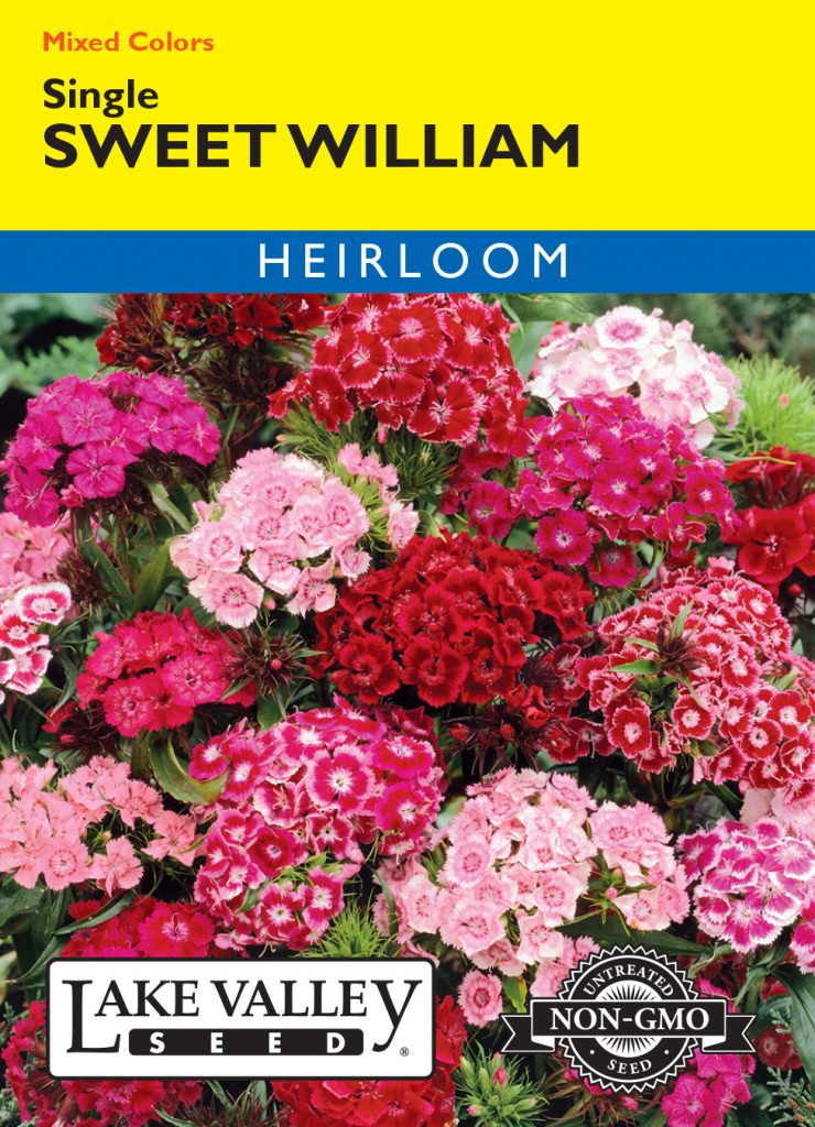 Sweet William Single Mixed Colors - Item #294 - Lake Valley Seed