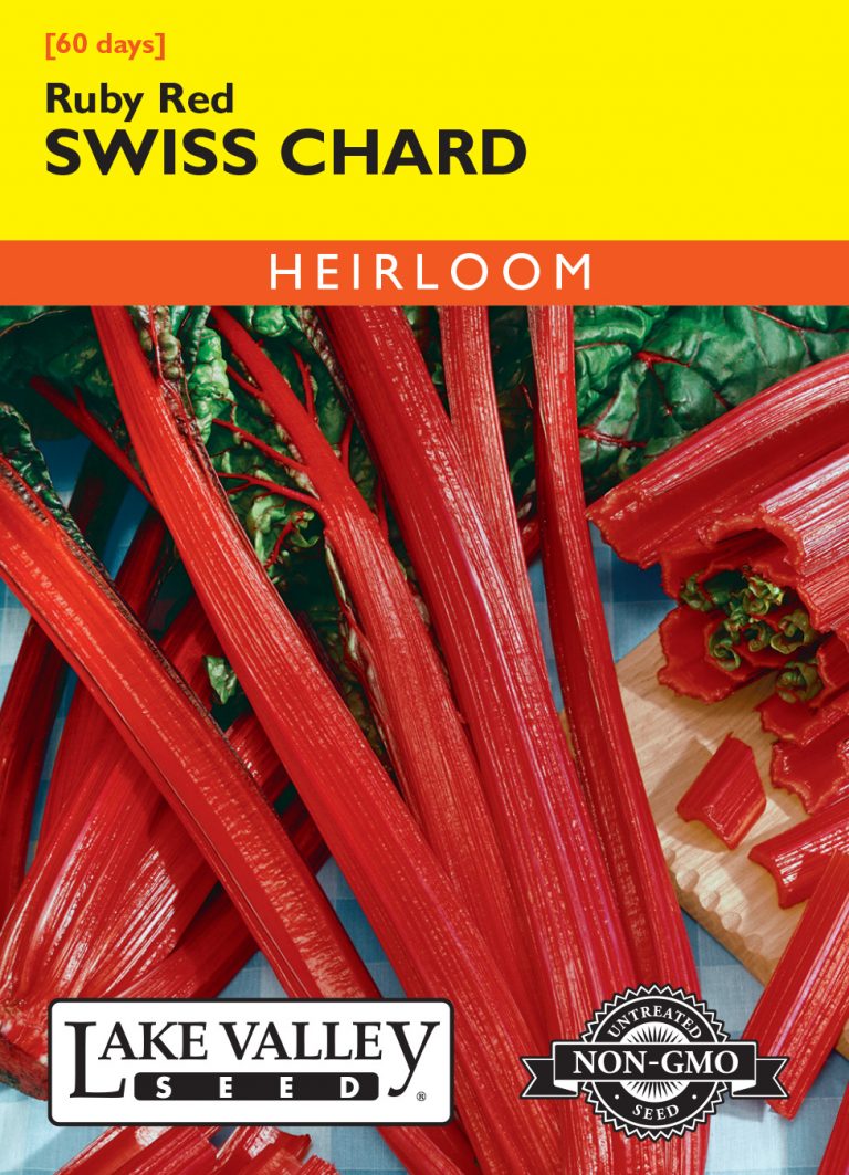 Swiss Chard Ruby Red - Item #296 - Lake Valley Seed