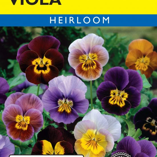 Viola Johnny Jump-Up - Item #161 - Lake Valley Seed