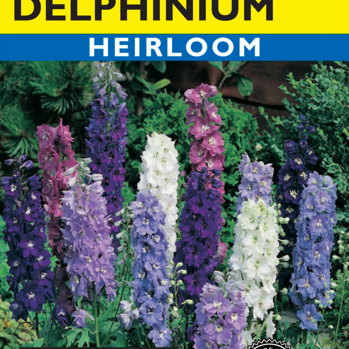 Delphinium Butterfly Mixed Colors - Item #3463 - Lake Valley Seed