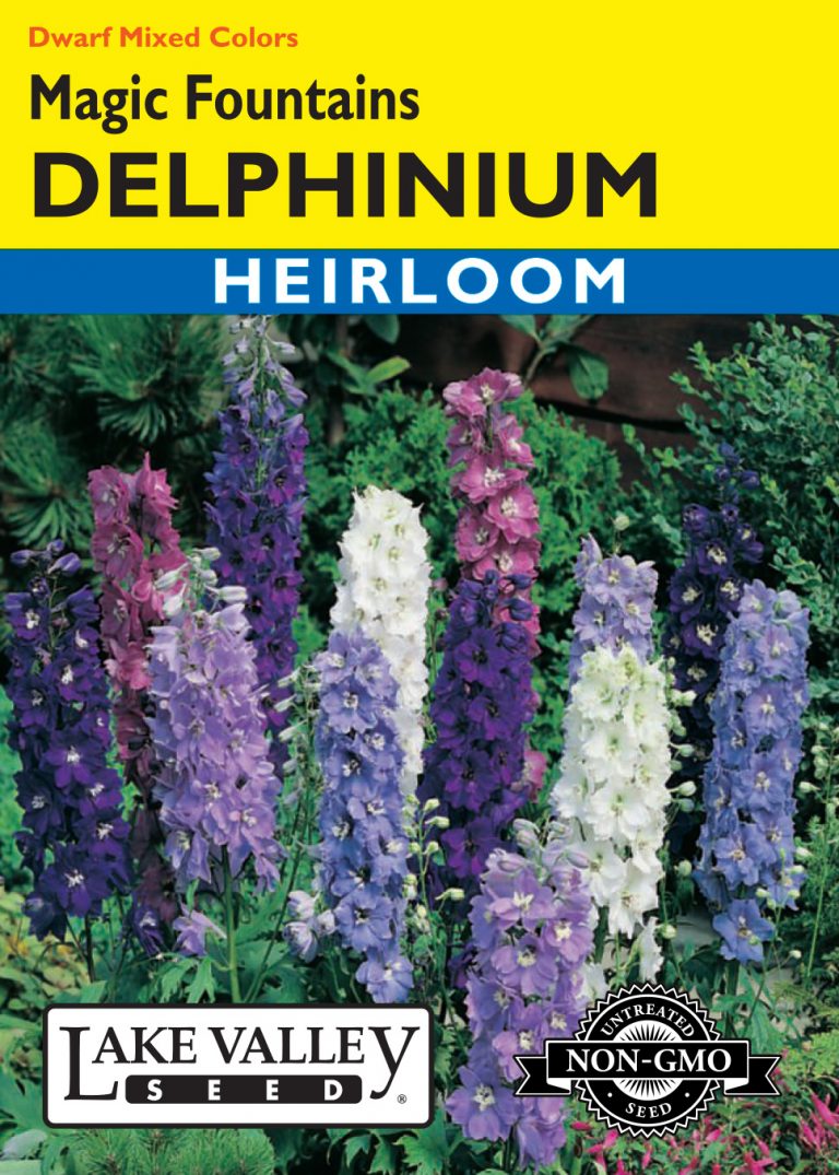 Delphinium Magic Fountains Mixed Colors - Item #3460 - Lake Valley Seed