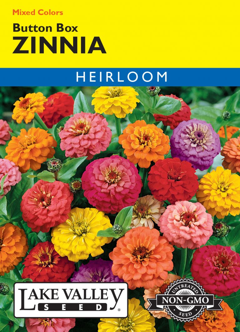 Zinnia Button Box Mixed Colors - Item #3474 - Lake Valley Seed