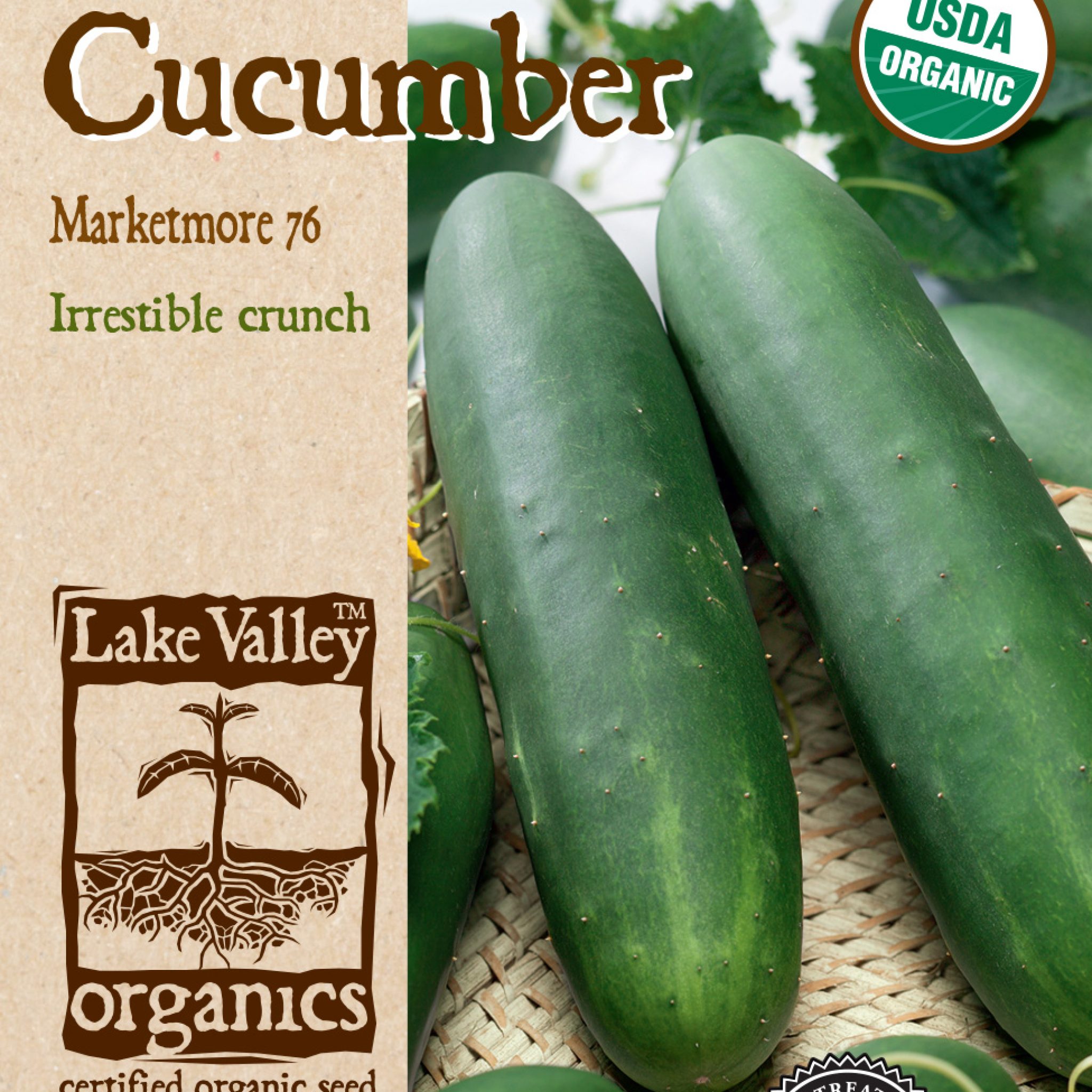 Cucumber Muncher - Item #571 - Lake Valley Seed
