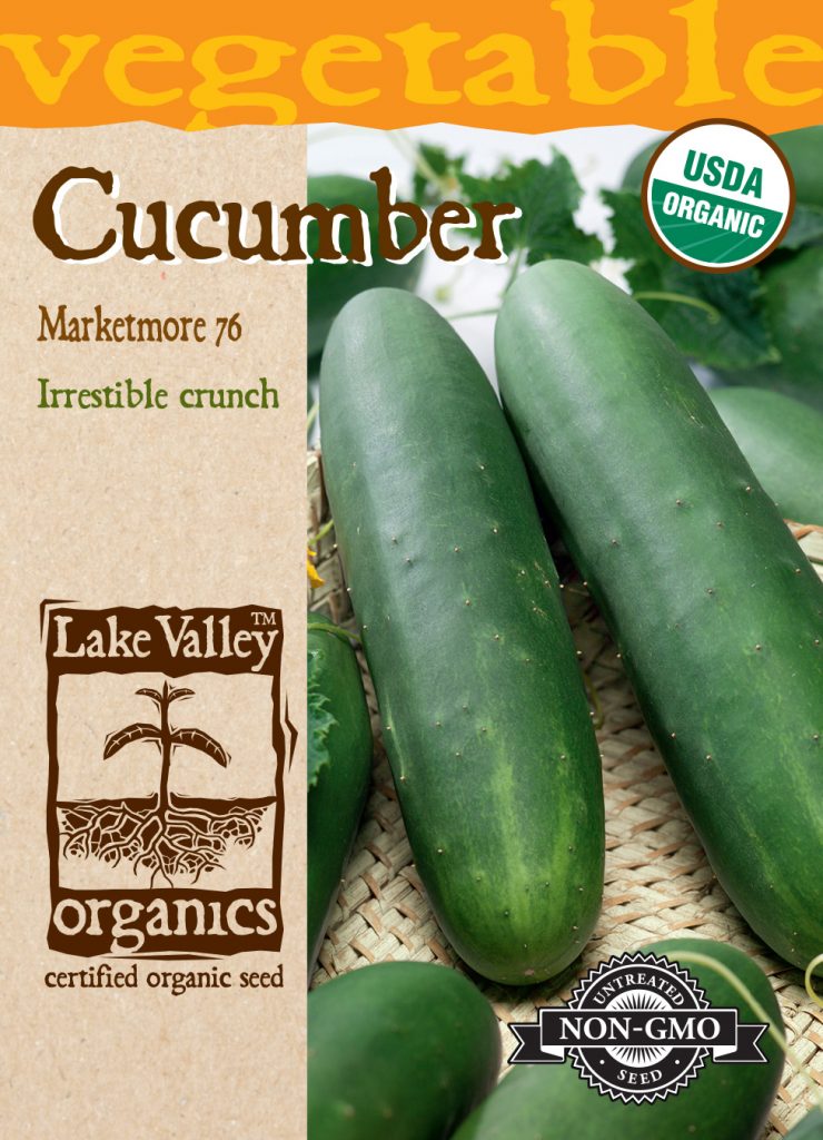 Cucumber Marketmore 76 - Item #3504 - Lake Valley Seed
