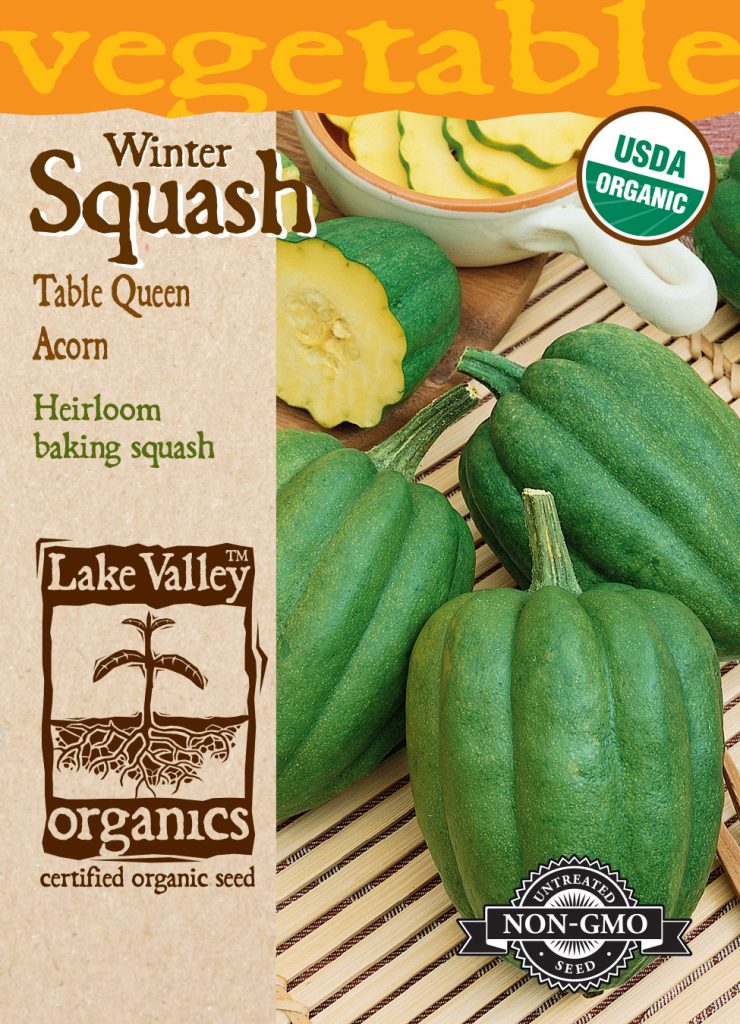 Squash (Winter) Table Queen Acorn - Item #3507 - Lake Valley Seed