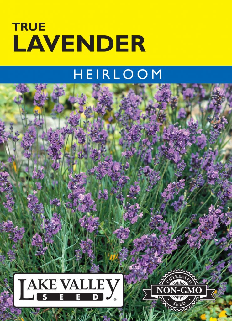Lavender True - Item #3510 - Lake Valley Seed