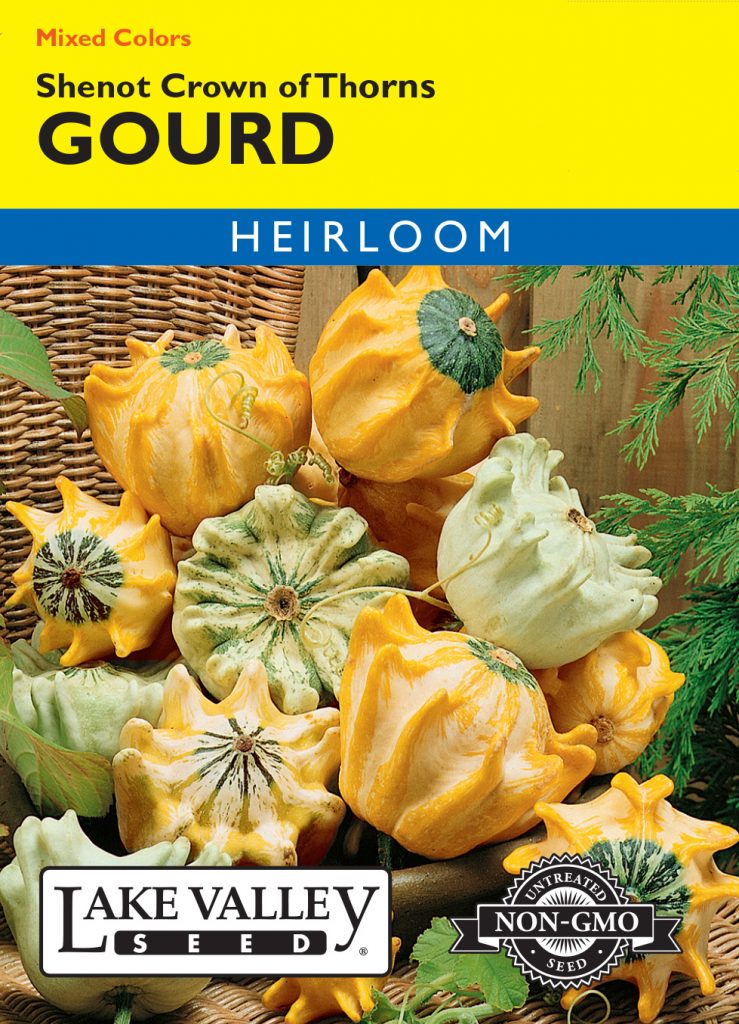 Gourd Shenot Crown of Thorns - Item #381 - Lake Valley Seed