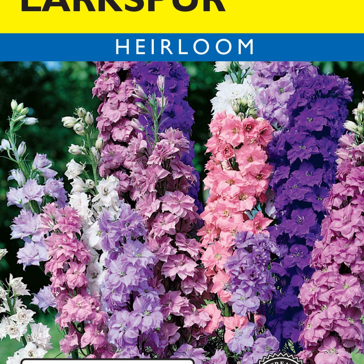 Larkspur Imperial Blue - Item #448 - Lake Valley Seed