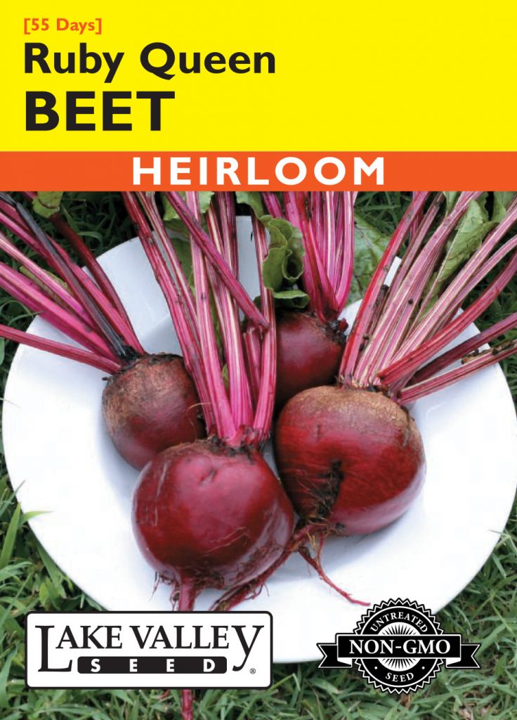 Beet Ruby Queen - Item #3921 - Lake Valley Seed
