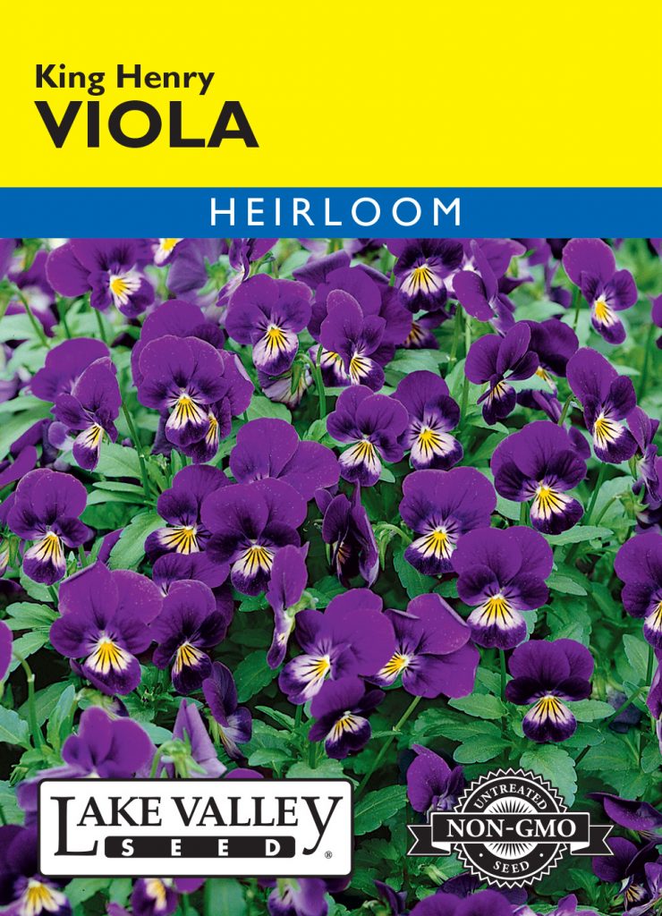 Viola King Henry - Item #393 - Lake Valley Seed