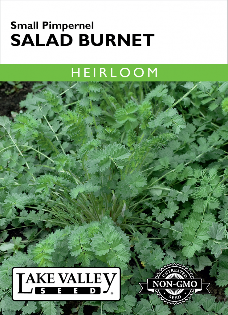 Salad Burnet - Item #399 - Lake Valley Seed