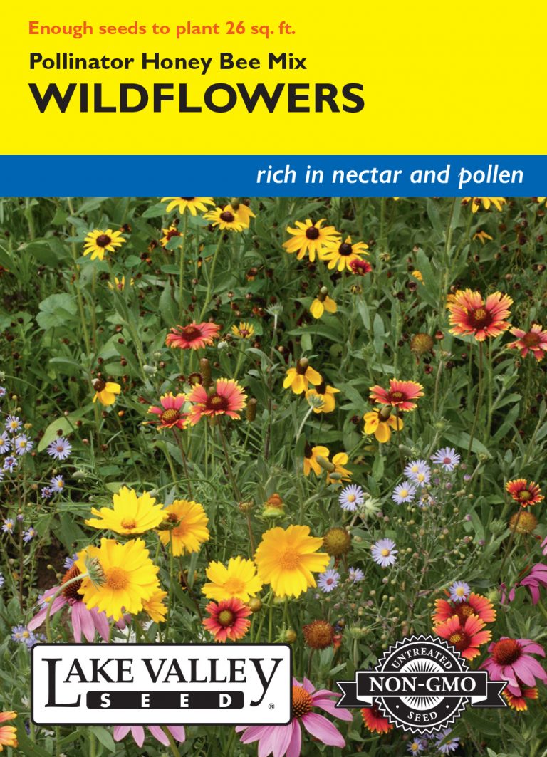 Wildflowers Pollinator Honey Bee Mix - Item #4008 - Lake Valley Seed
