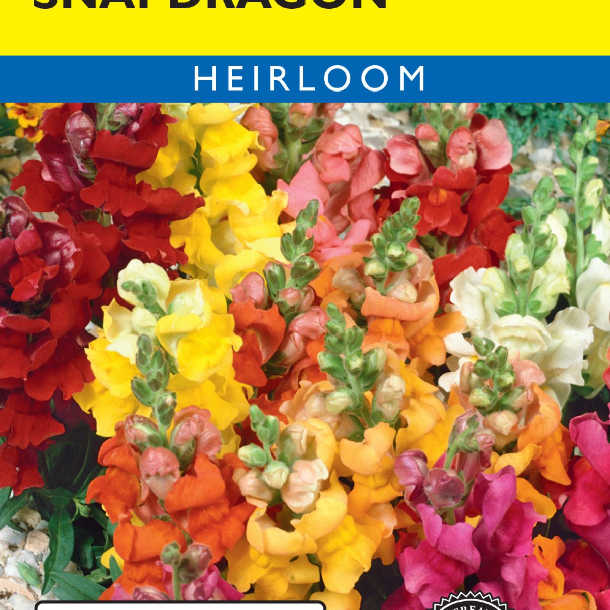 Snapdragon Tetra Giants Mixed Colors - Item #274 - Lake Valley Seed