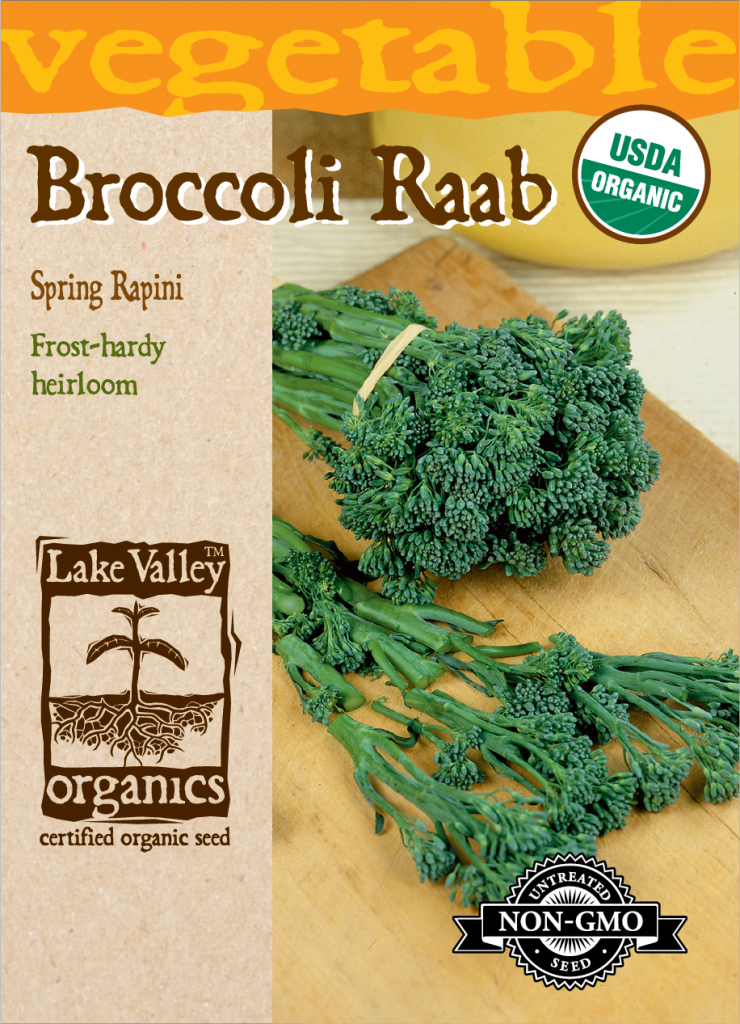 Broccoli Raab Spring (Rapini) - Item #4130 - Lake Valley Seed