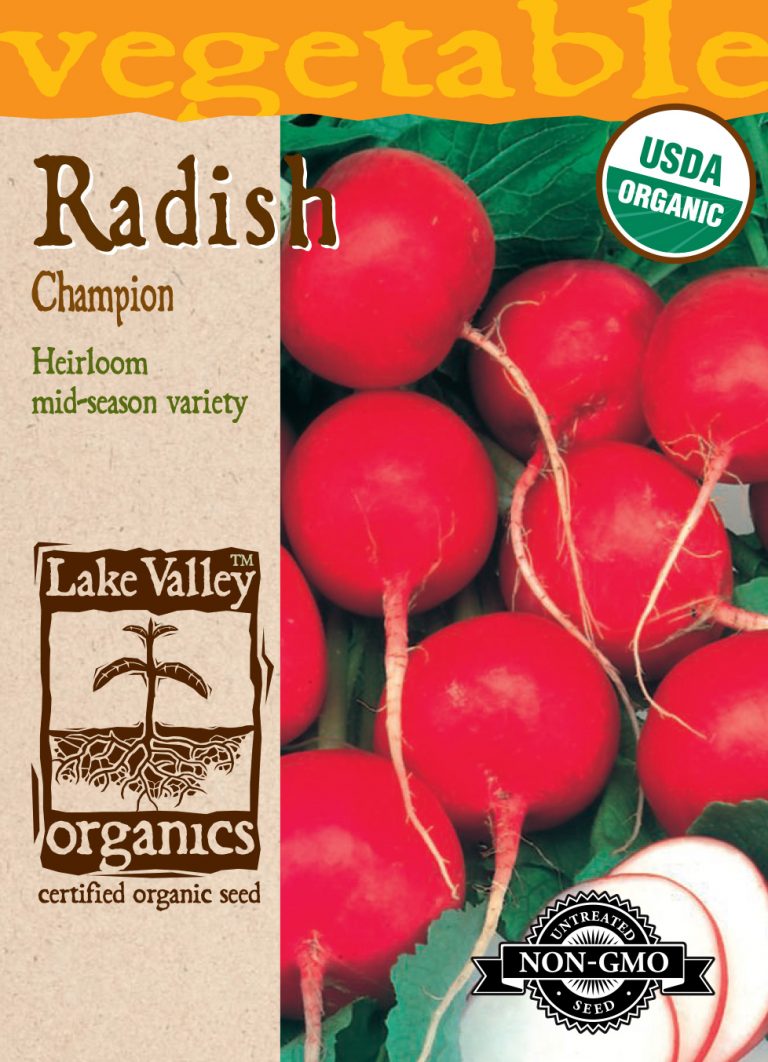 Radish Champion - Item #4139 - Lake Valley Seed