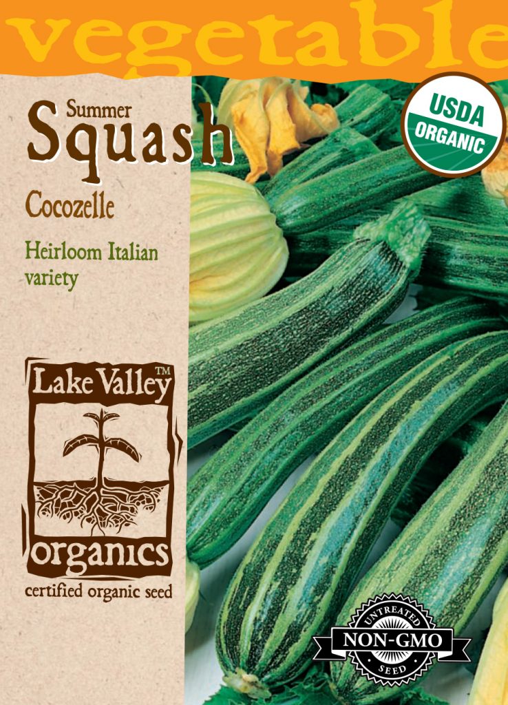 Squash (Summer) Cocozelle - Item #4140 - Lake Valley Seed