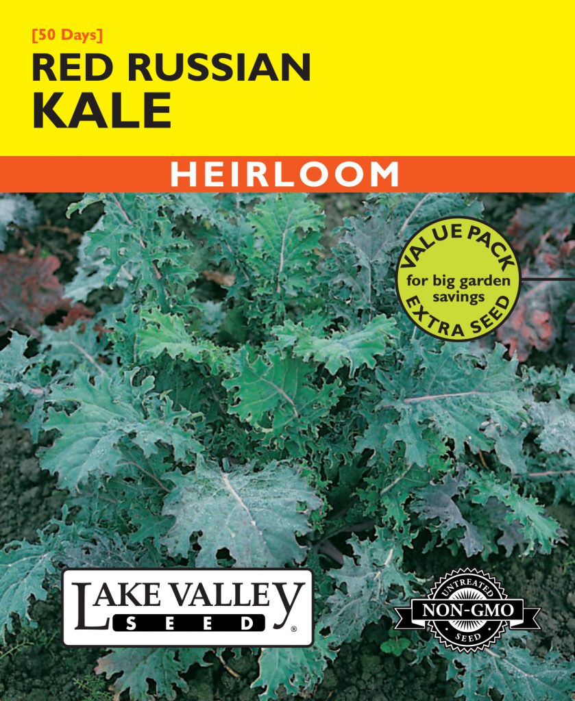 Kale Red Russian - Item #4183 - Lake Valley Seed