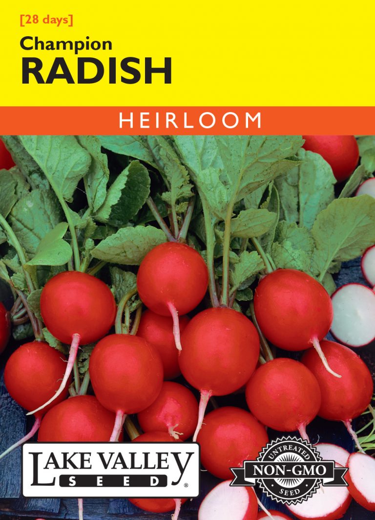Radish Champion - Item #421 - Lake Valley Seed
