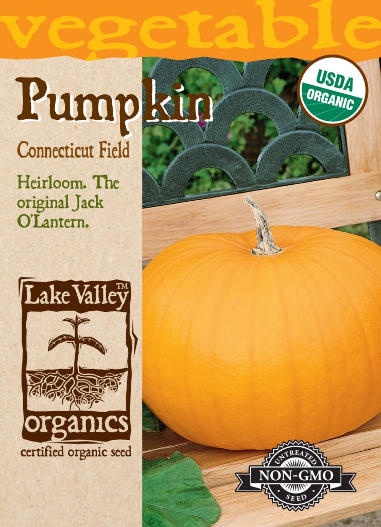 Pumpkin Connecticut Field - Item #4287 - Lake Valley Seed