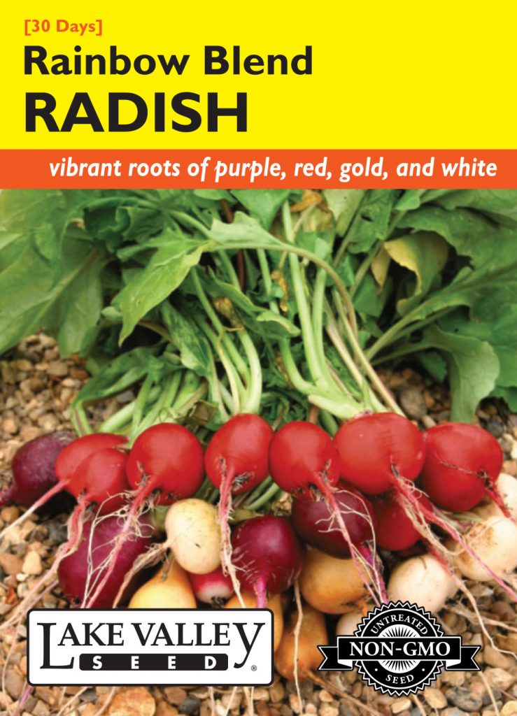 Radish Rainbow Blend - Item #4288 - Lake Valley Seed