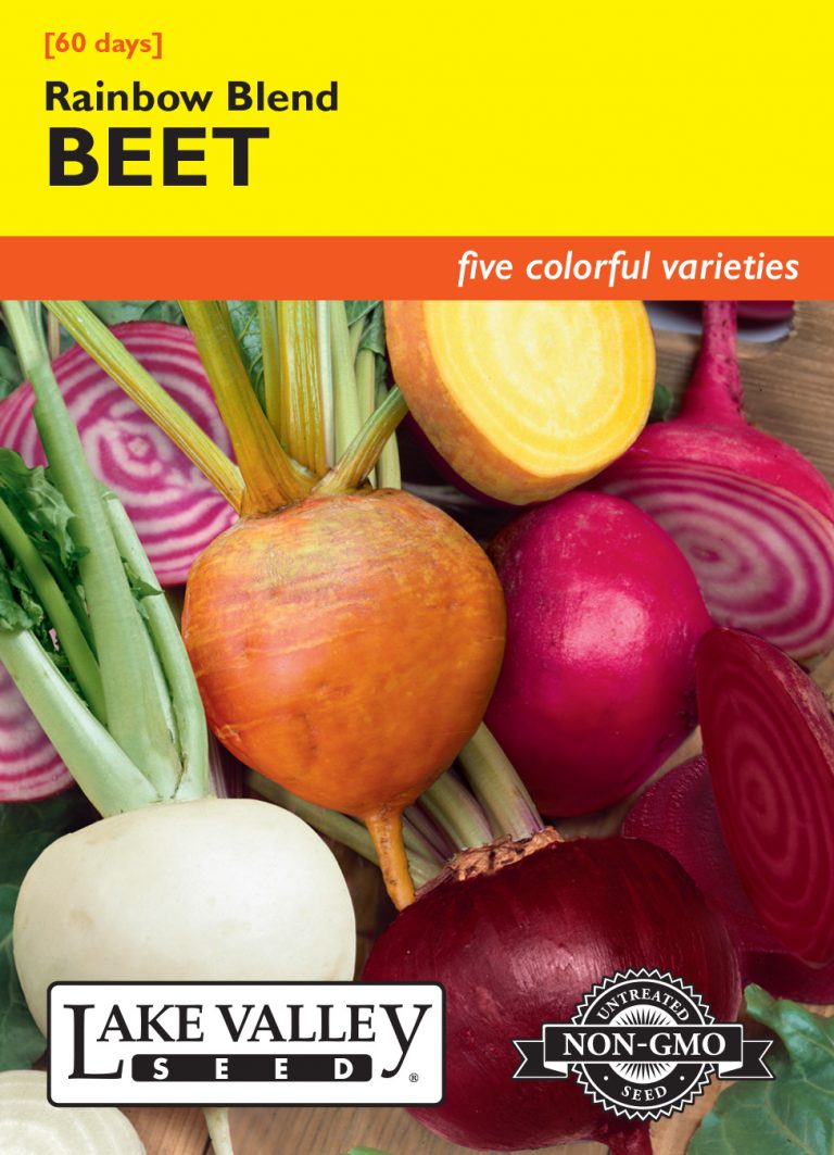 Beet Rainbow Blend - Item #4289 - Lake Valley Seed