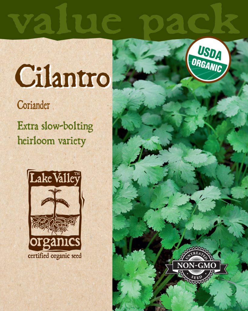 Cilantro (Coriander) - Item #4443 - Lake Valley Seed