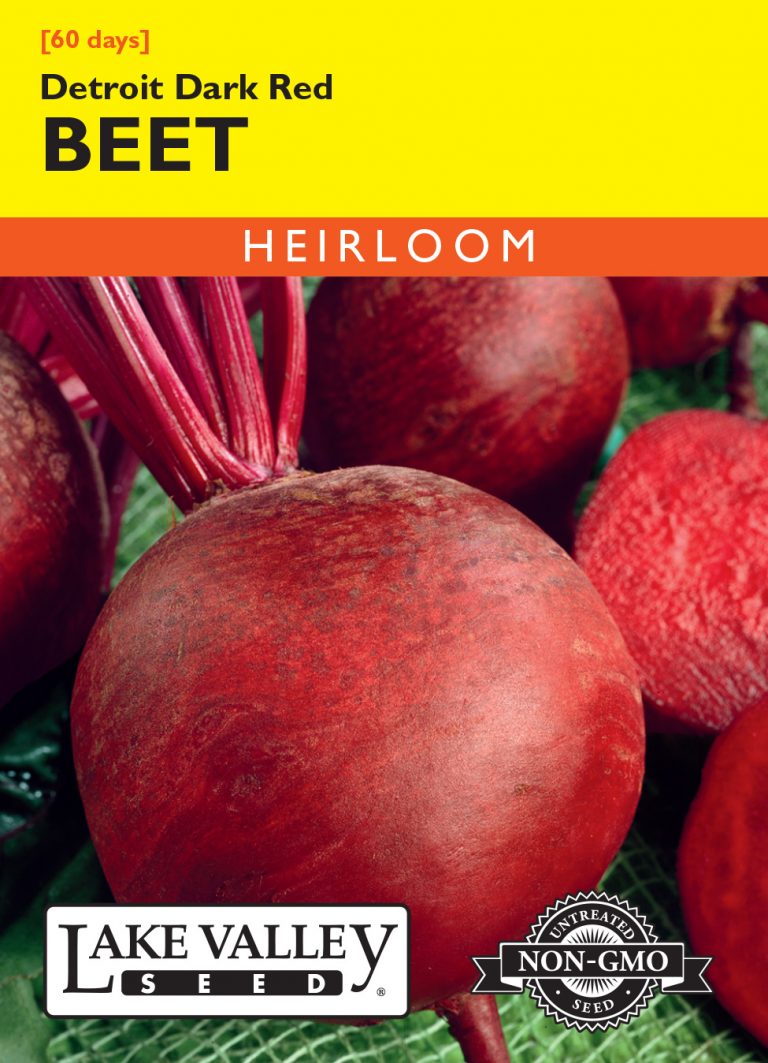 Beet Detroit Dark Red - Item #45 - Lake Valley Seed