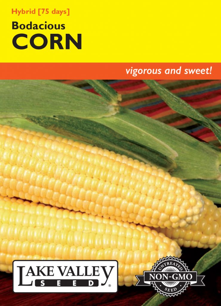 Corn Sweet Bodacious Hybrid - Item #4503 - Lake Valley Seed